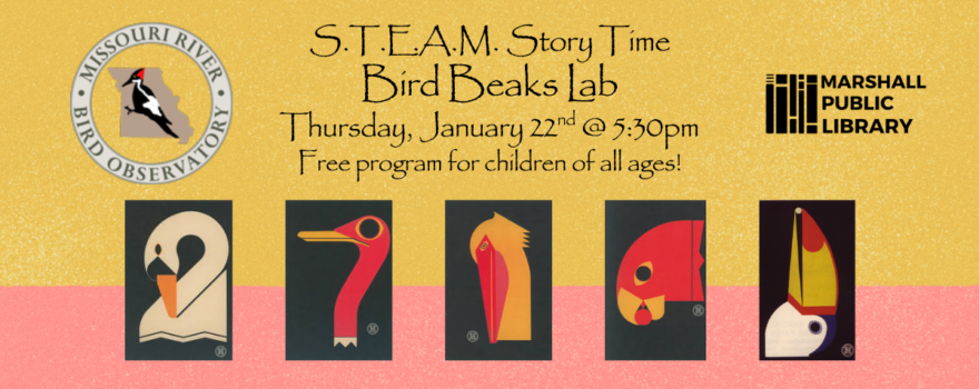 STEAM Story Time: Bird Beaks Lab – MARSHALL PUBLIC LIBRARY